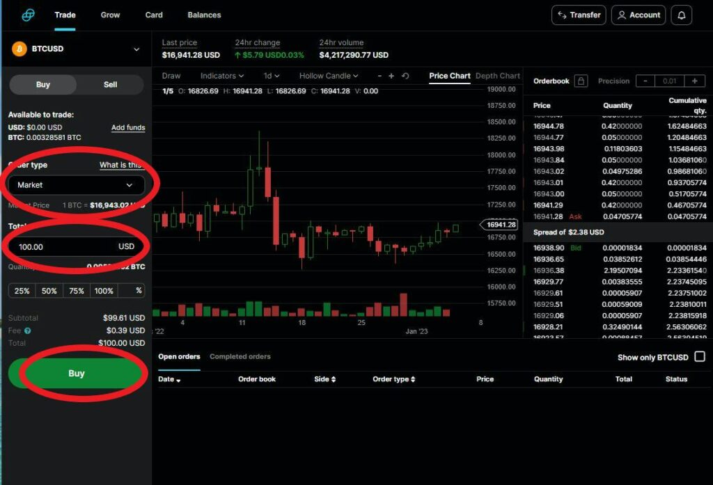 Payment Guide - Lynx Caps