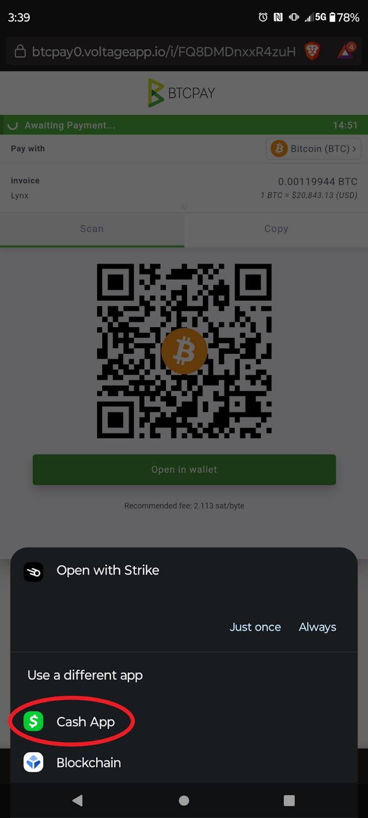 Payment Guide - Lynx Caps